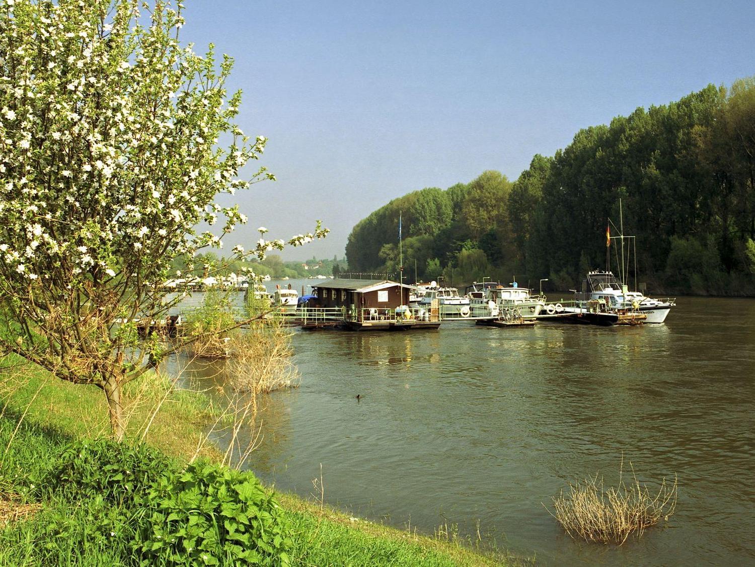 Hersel - Stadt Bornheim